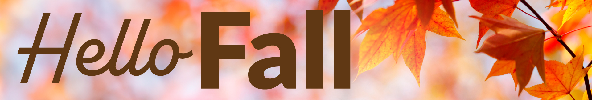Hello Fall | Big Y